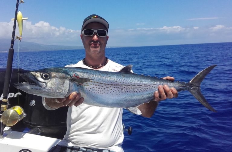 Les thazards – Julien BROSSEL, Guide de pêche sportive en Guadeloupe