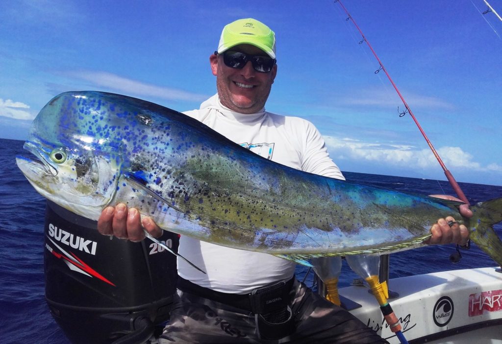 Les poissons – Julien BROSSEL, Guide de pêche sportive en Guadeloupe