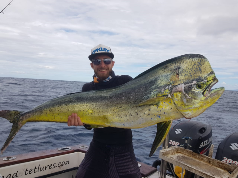 La dorade coryphène – Guide de pêche sportive en Guadeloupe